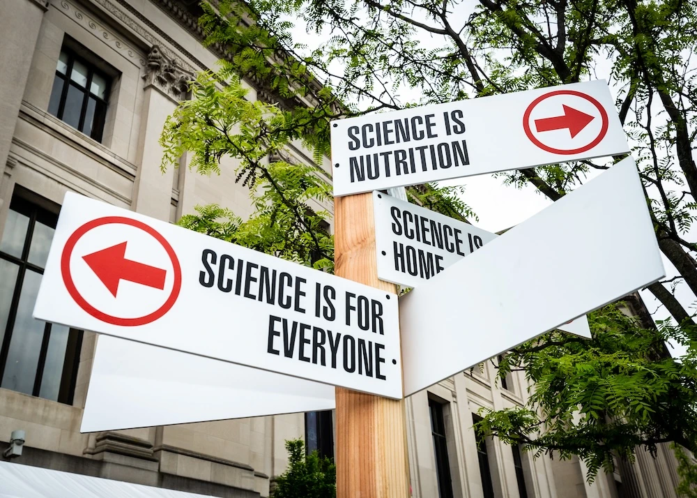 Large Outdoor Posts Directional Signage